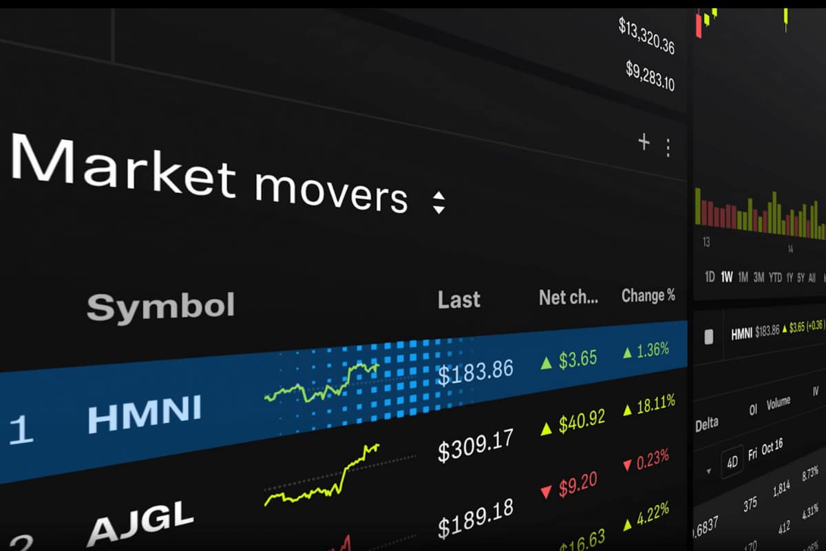 The Stock Market: A Glance at the Basics